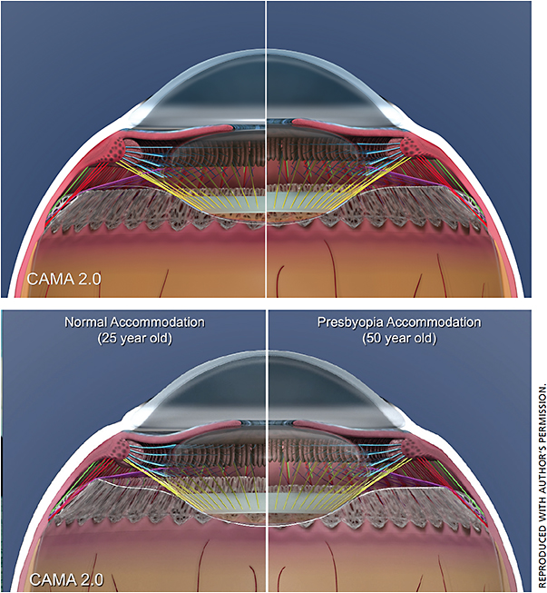 Ophthalmology Management | PentaVision