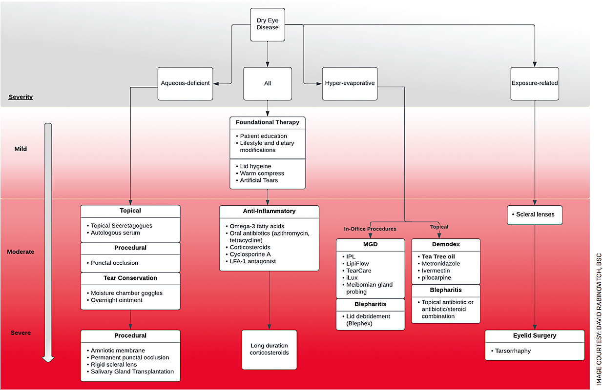 Ophthalmology Management | PentaVision