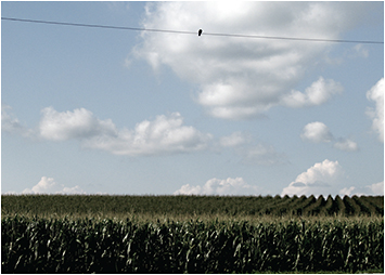 Ophthalmology Management | PentaVision