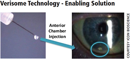 Ophthalmology Management | PentaVision