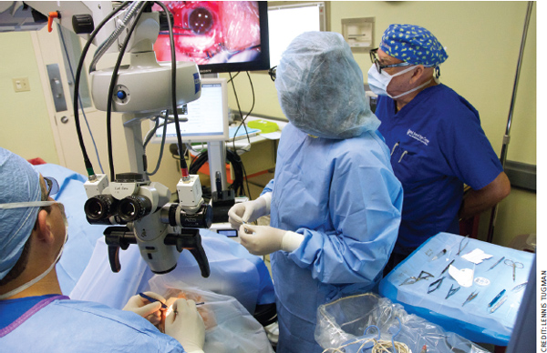 Ophthalmology Management | PentaVision